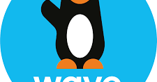 Wave Sénégal : Vers une inclusion financière renforcée et un écosystème ...