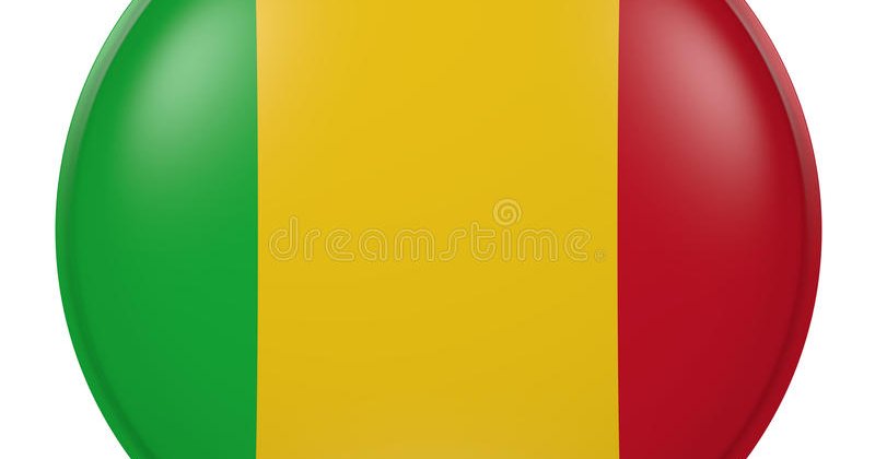 Mali : L’Agetic veut promouvoir le .ml en 2024 - OSIRIS